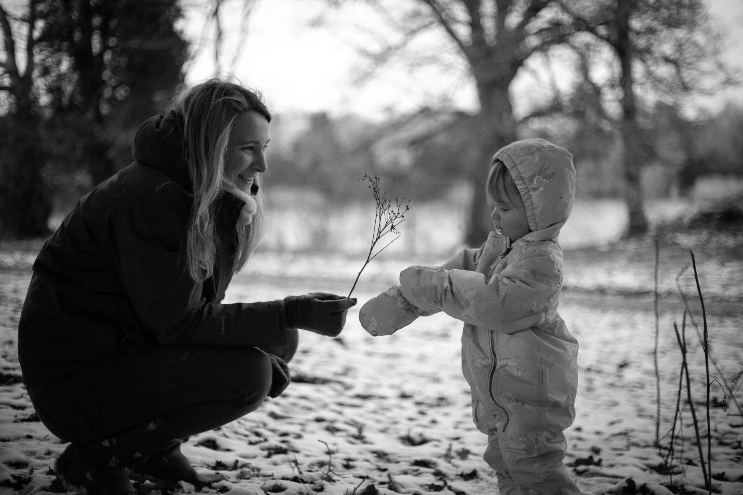 Aboutus — Project Rewild