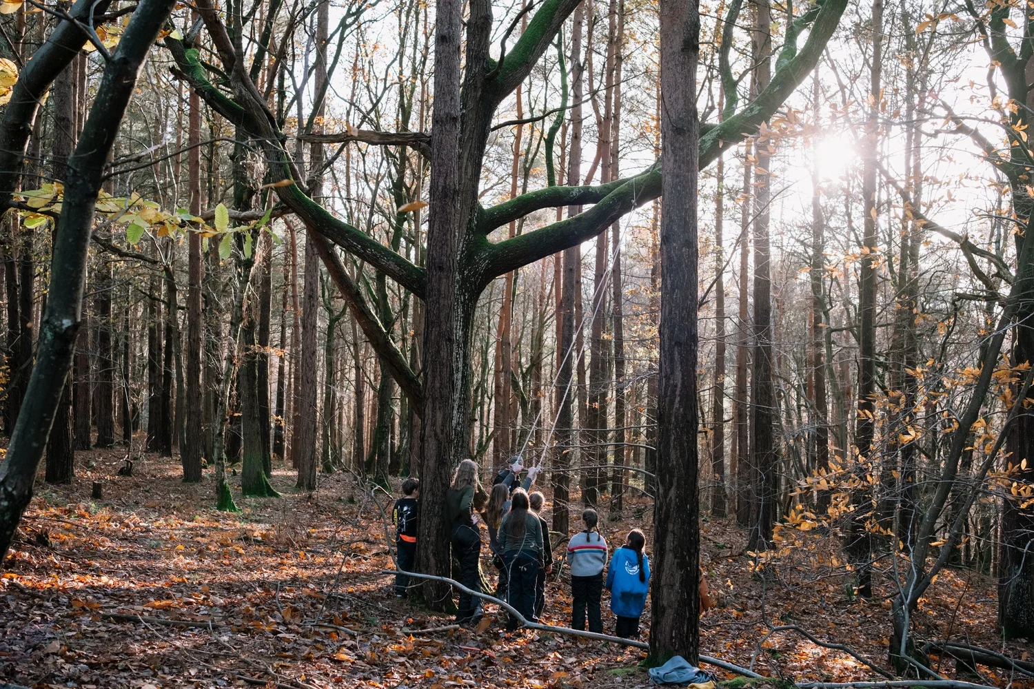 Rewild Woodland School — Project Rewild