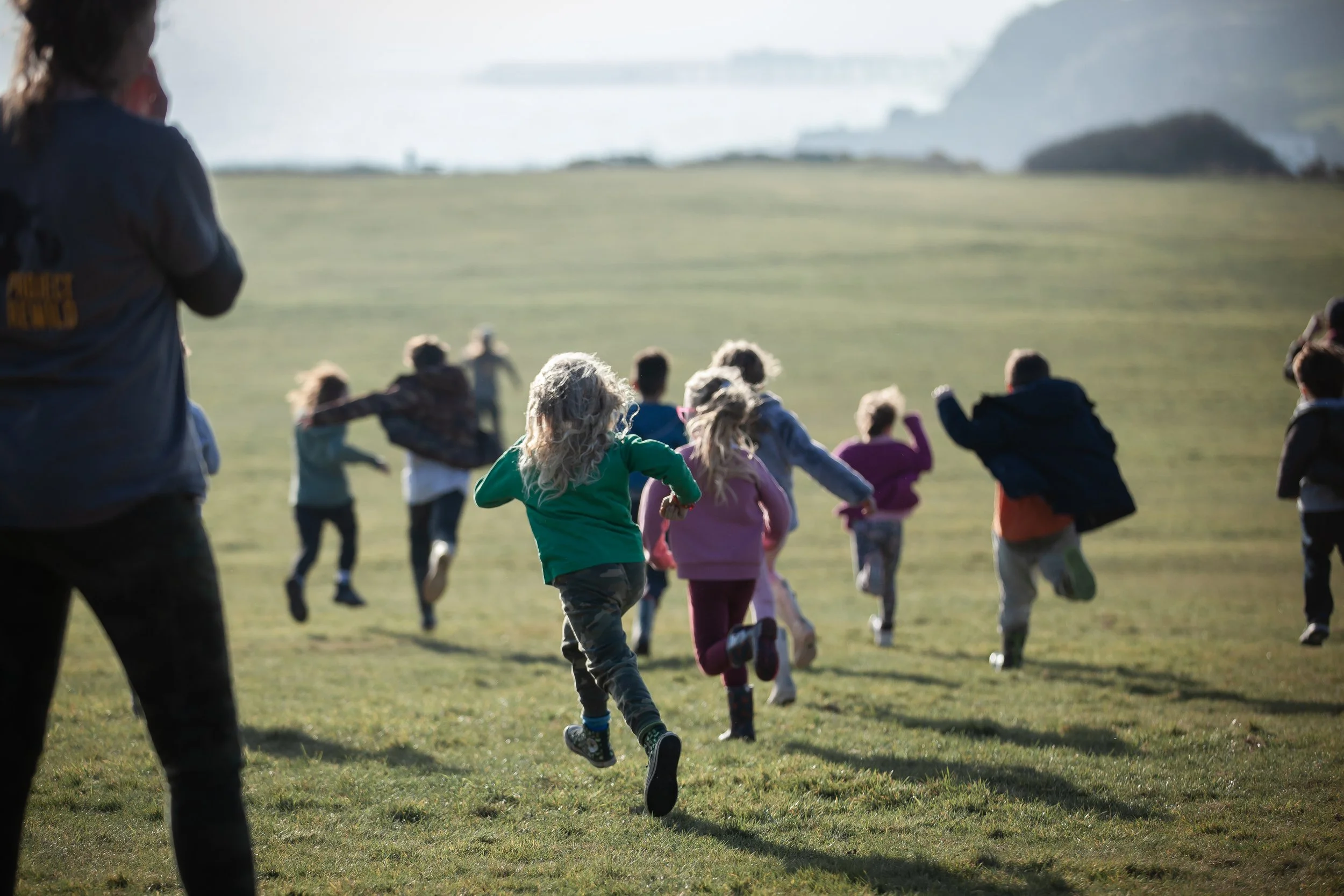 Rewild Hastings (free groups) — Project Rewild