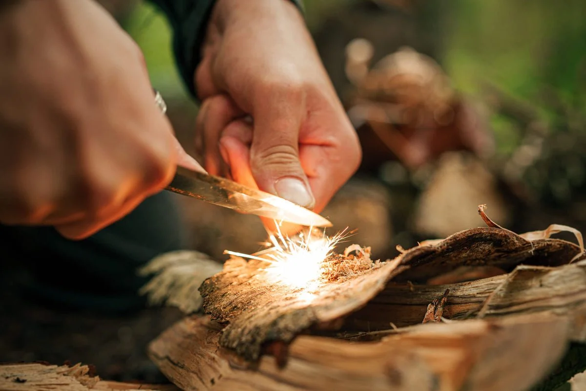 Young mentors (14-18 years) — Project Rewild