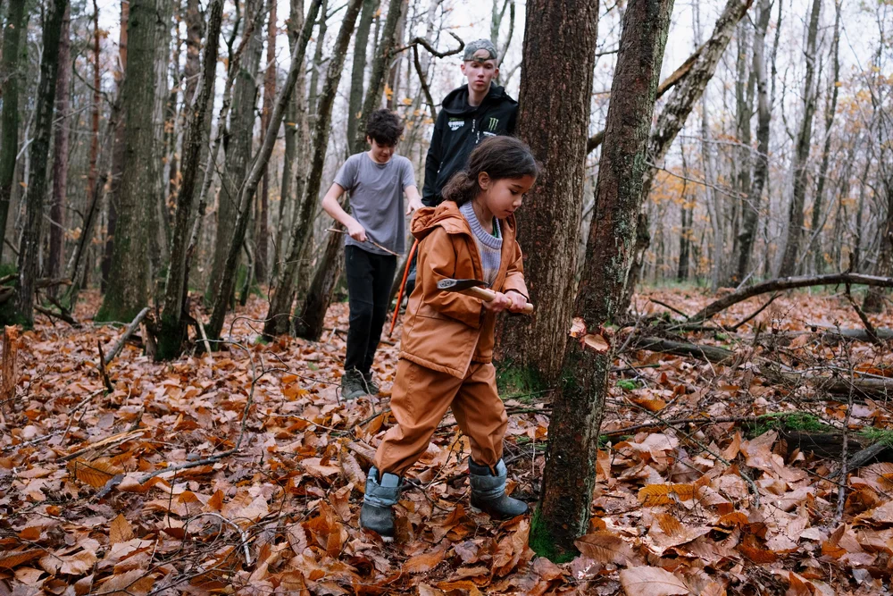 Rewild Woodland School — Project Rewild