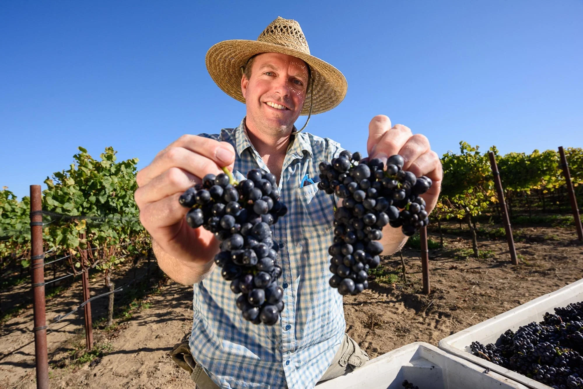 Events — Bodega Ultima