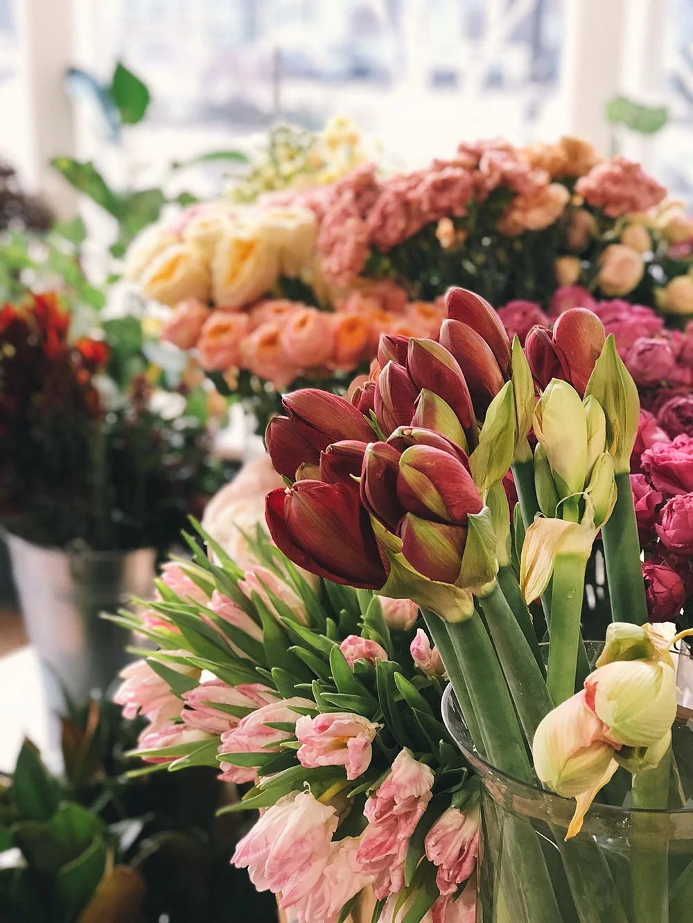 Legacy Flowers