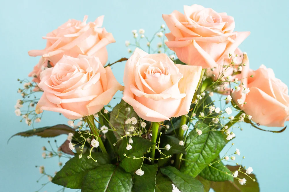 Vase Arrangements — Legacy Flowers