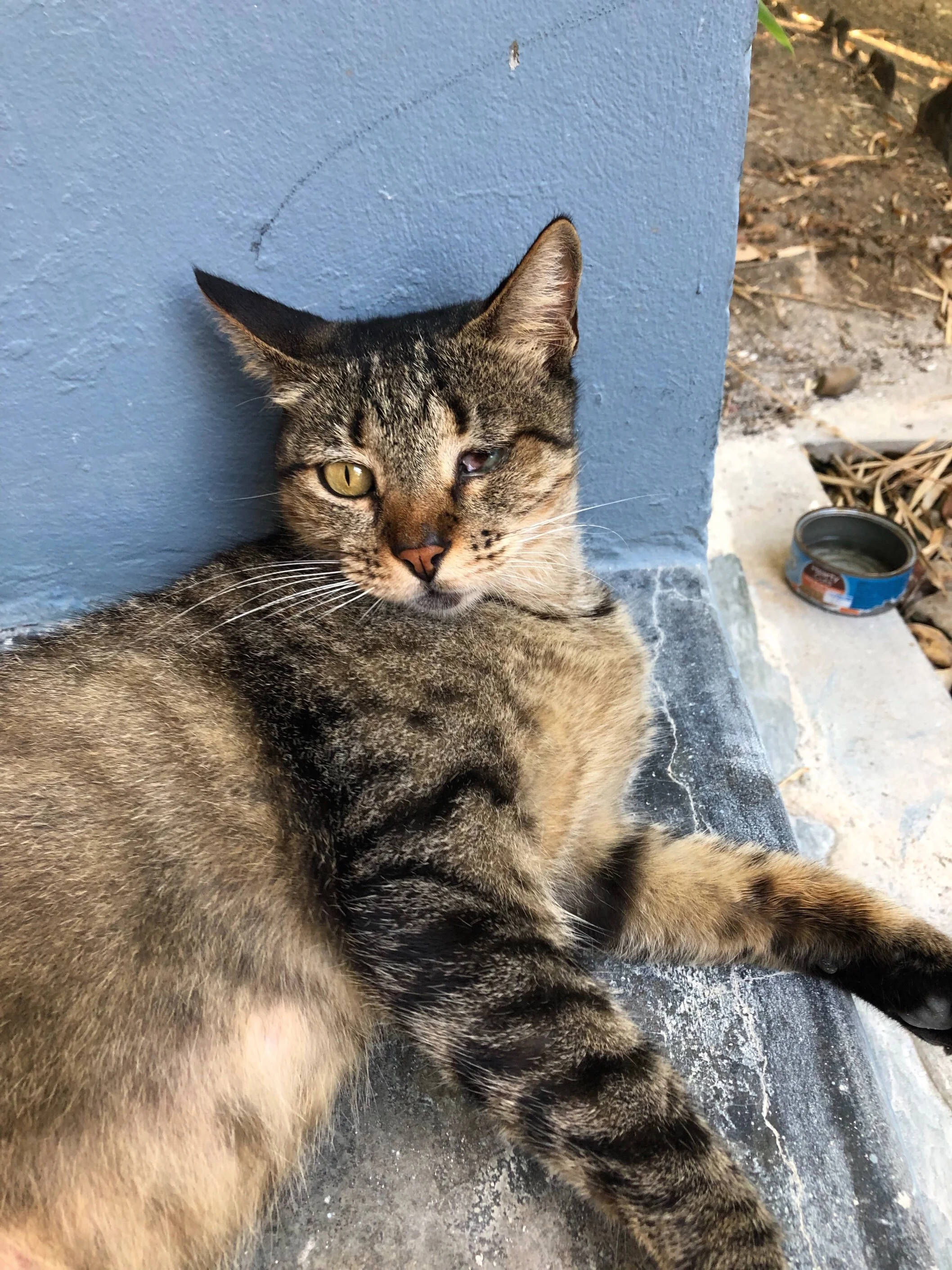 Bonaduces in Belize — The Clipboard of Fun