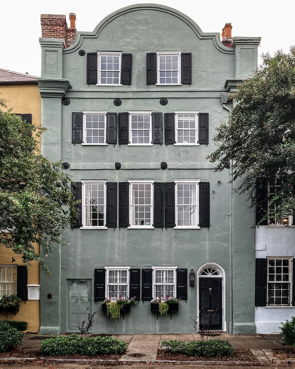 Wandering Through Charleston — That Jane Bird