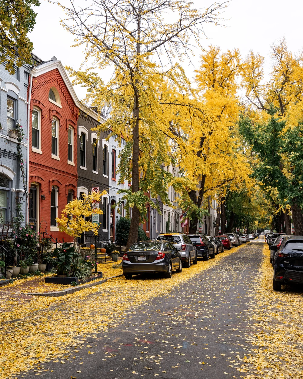 Instagrammable Fall Locations in the Washington DC Area — That Jane Bird