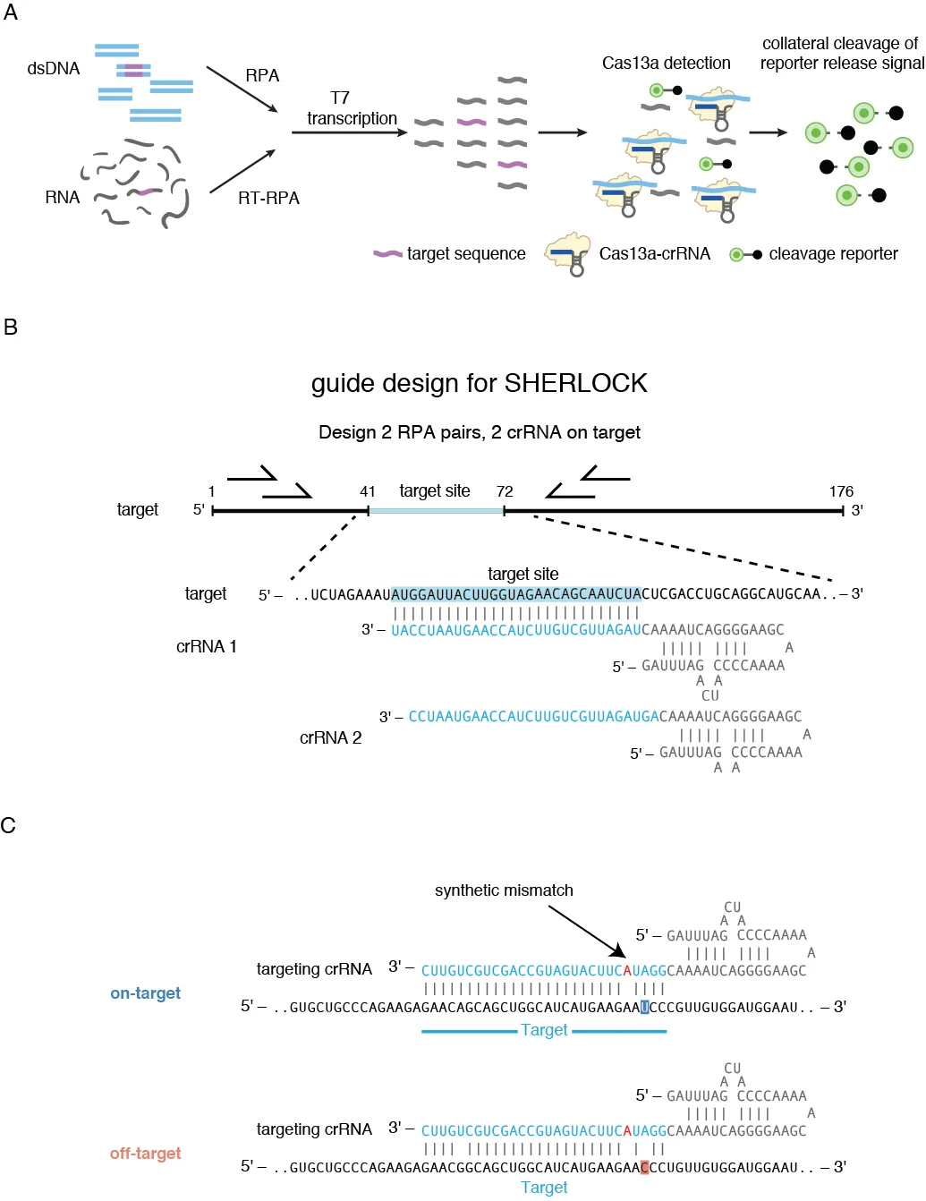 Cas13 — Zhang Lab