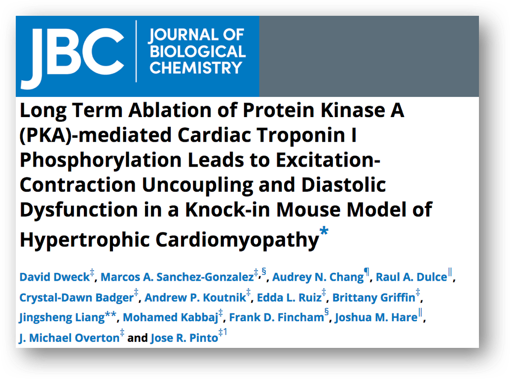 ANDREW P. KOUTNIK, Ph.D.