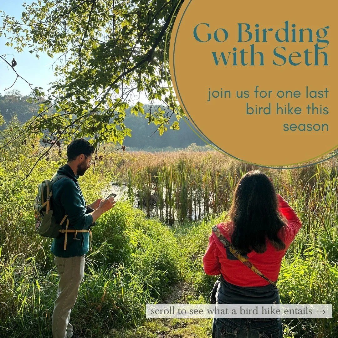 on-demand yoga + ayurveda classes — Ayurvedic Wellness Center