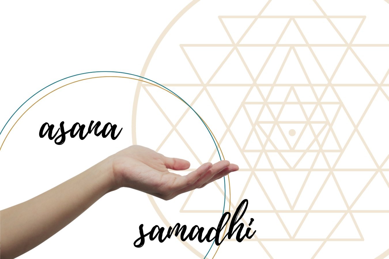 on-demand yoga + ayurveda classes — Ayurvedic Wellness Center