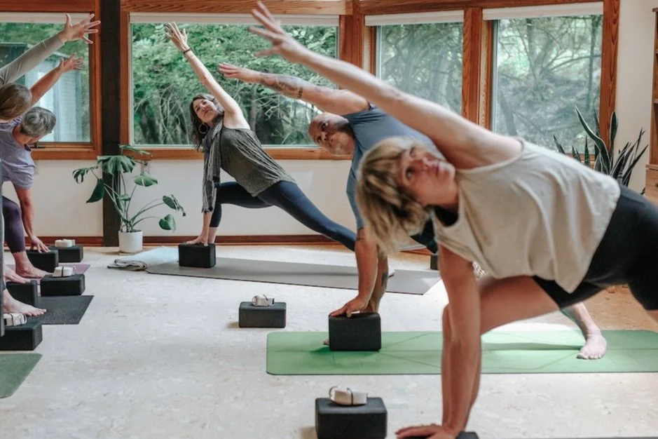 The Practice: Ayurvedic Hatha Yoga — Ayurvedic Wellness Center