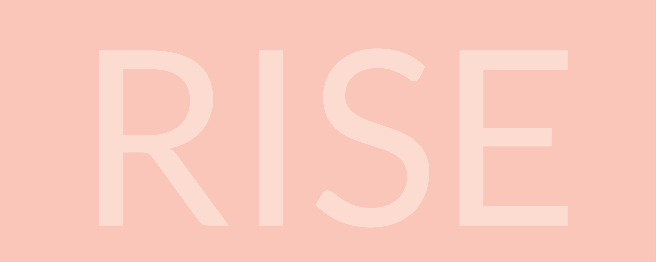 Rise Leadership Circle