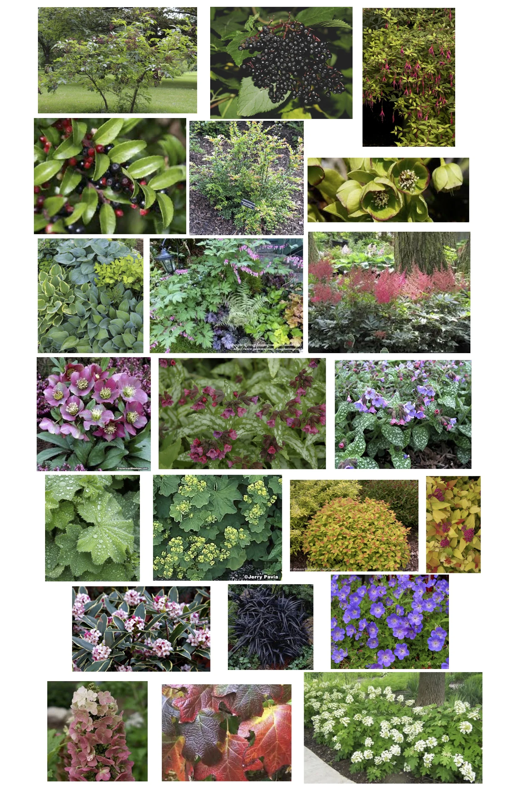 Design — Seed Garden Design