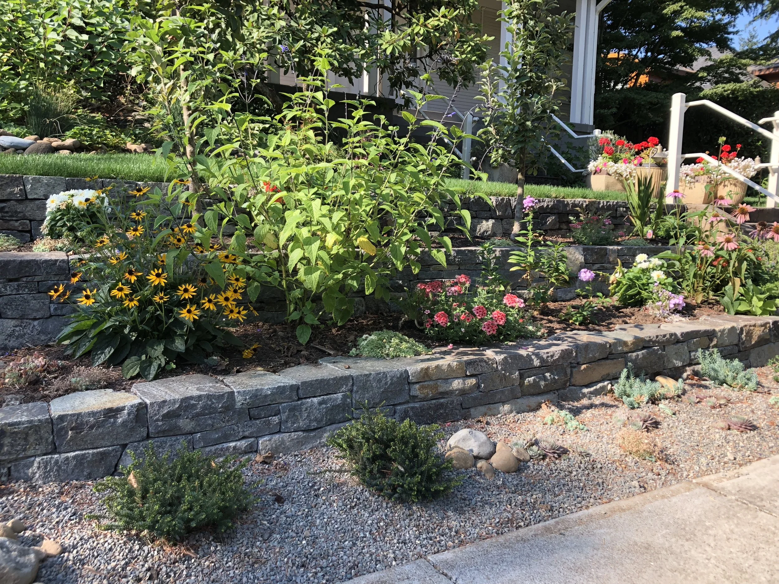 Design — Seed Garden Design