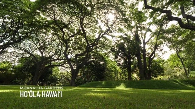 HO'OLA HAWAII — MOANALUA GARDENS