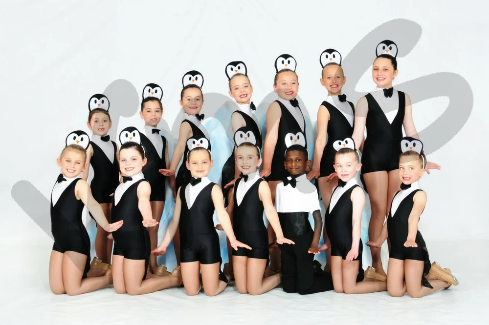 2017 Concert 'Once Upon A Time' — VMS DANCE STUDIO