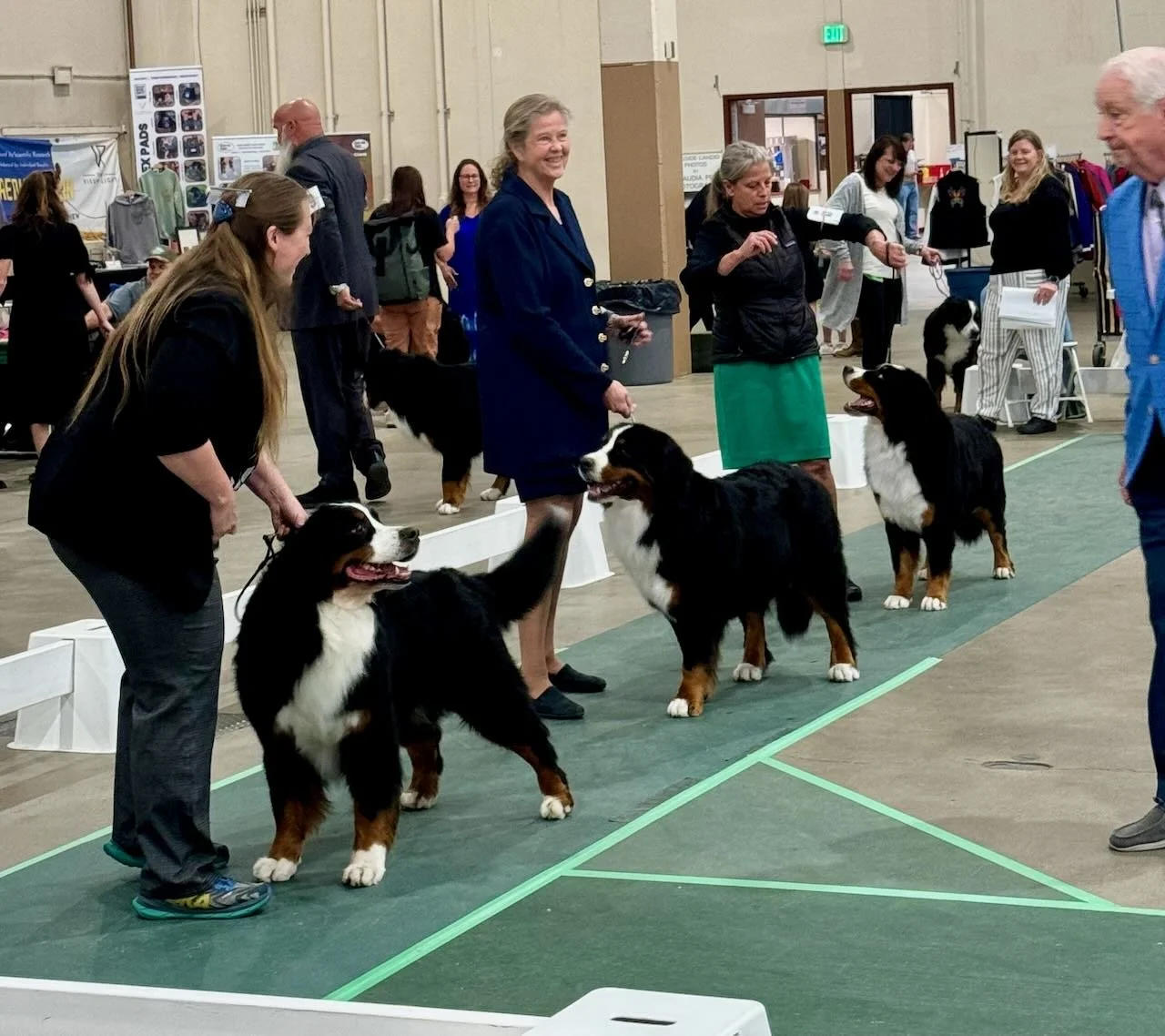 Boise Show — Kaibab Bernese Mountain Dogs