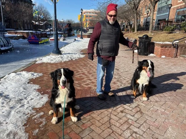 Bright Star Fauci and Congratulations to Zuber — Kaibab Bernese ...