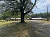 New Page — Harris Baptist Assembly
