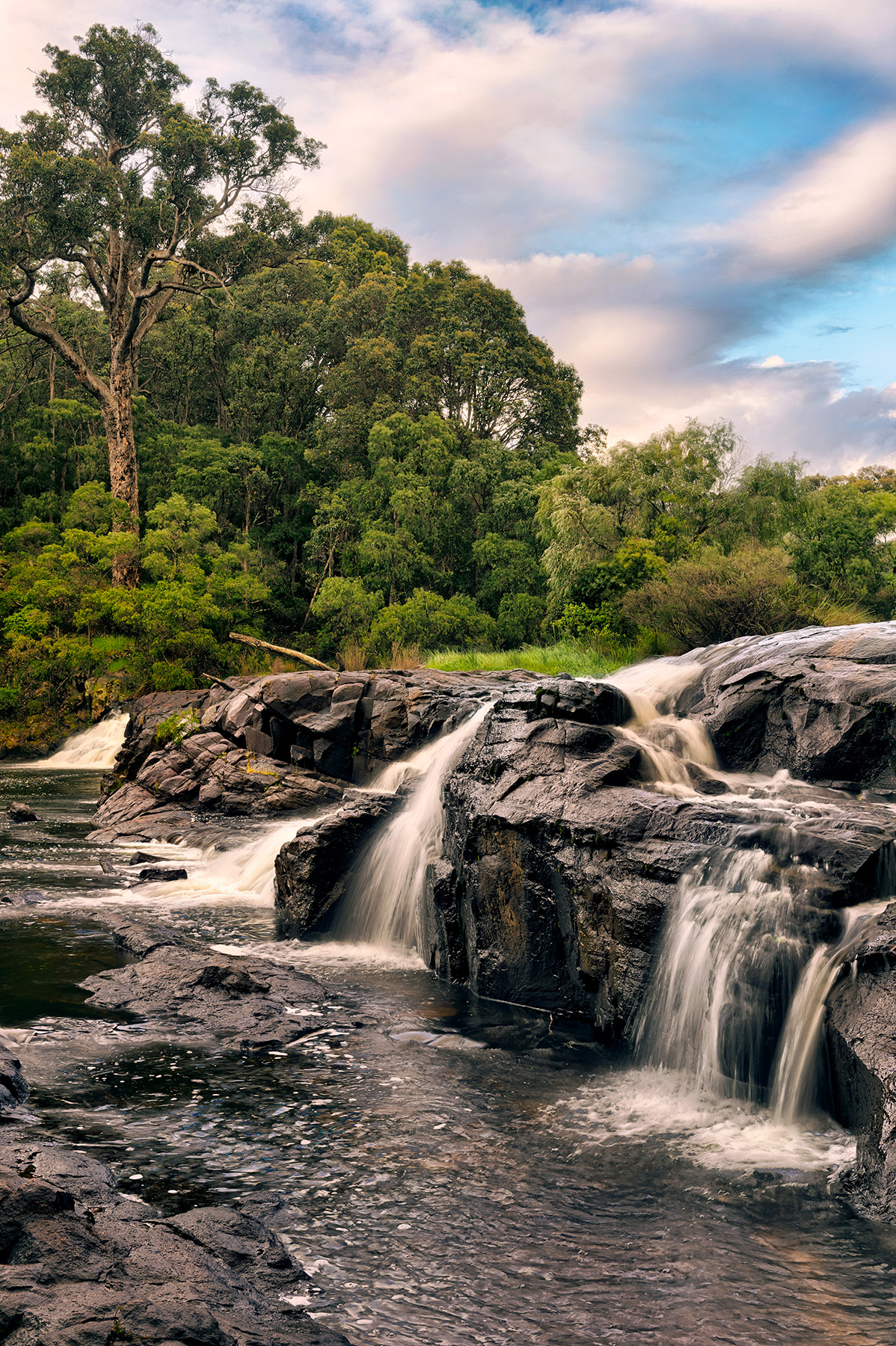 Country — FRANCES ANDRIJICH