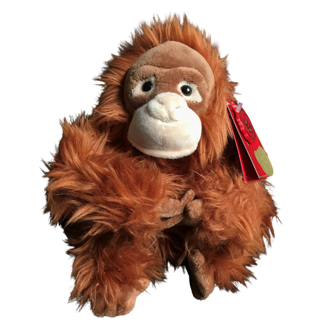 Orangutan Foundation