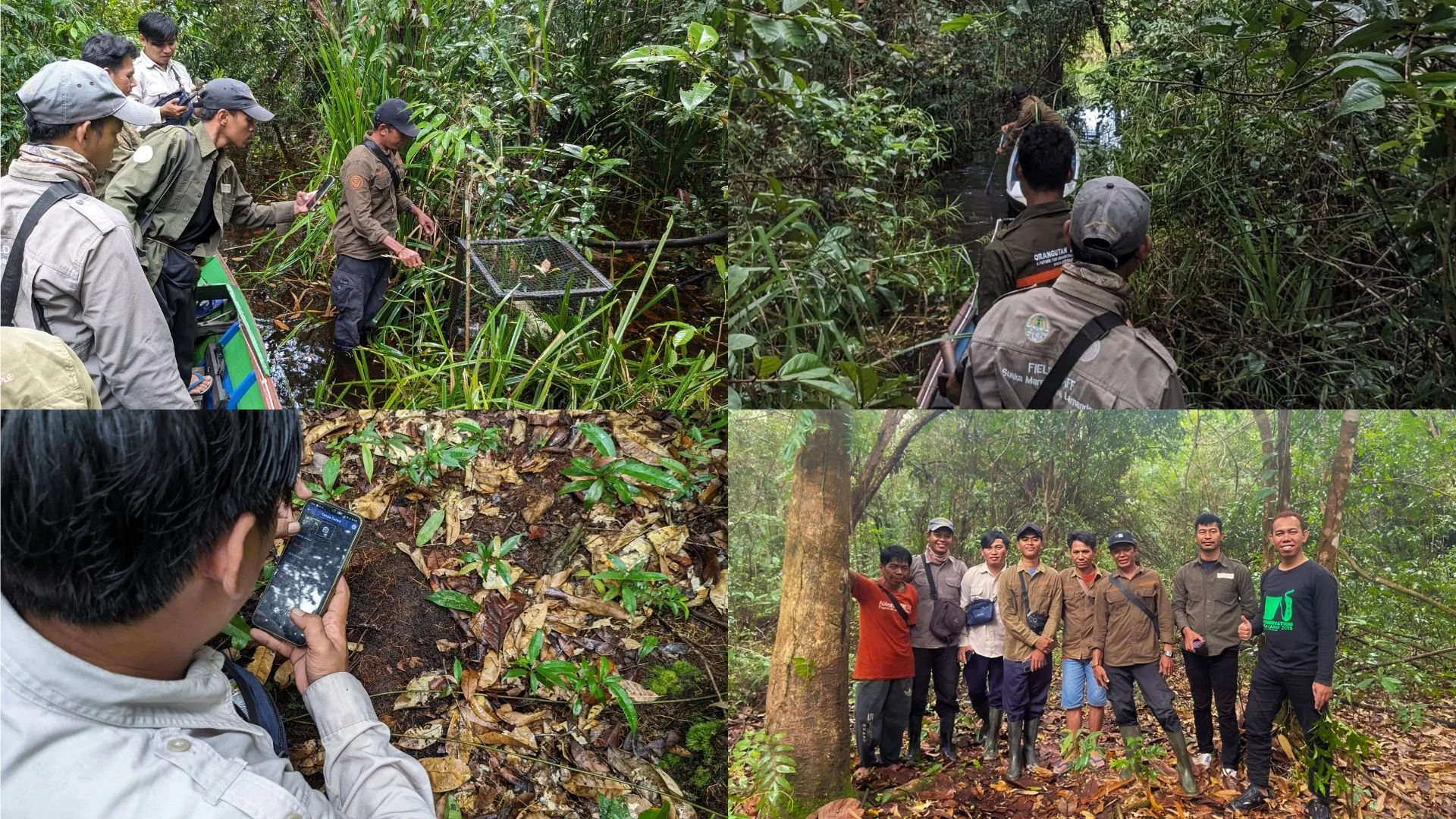 Workshops & Training — Orangutan Foundation