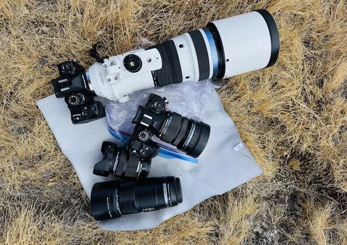 The Best Gear For Wildlife Photography Backpacking Trips In 2026 ...