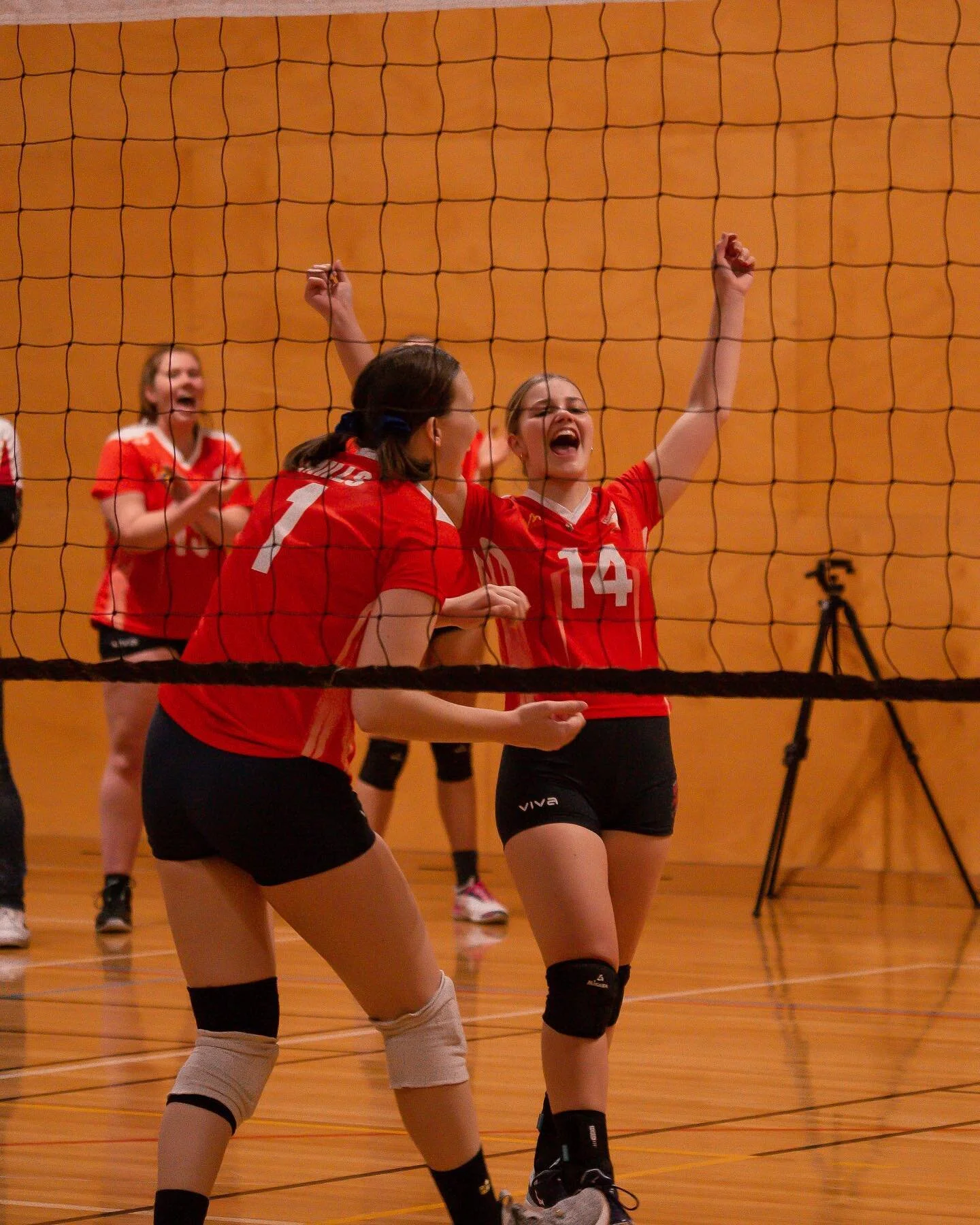 Juniors — Henley Hawks Volleyball Club