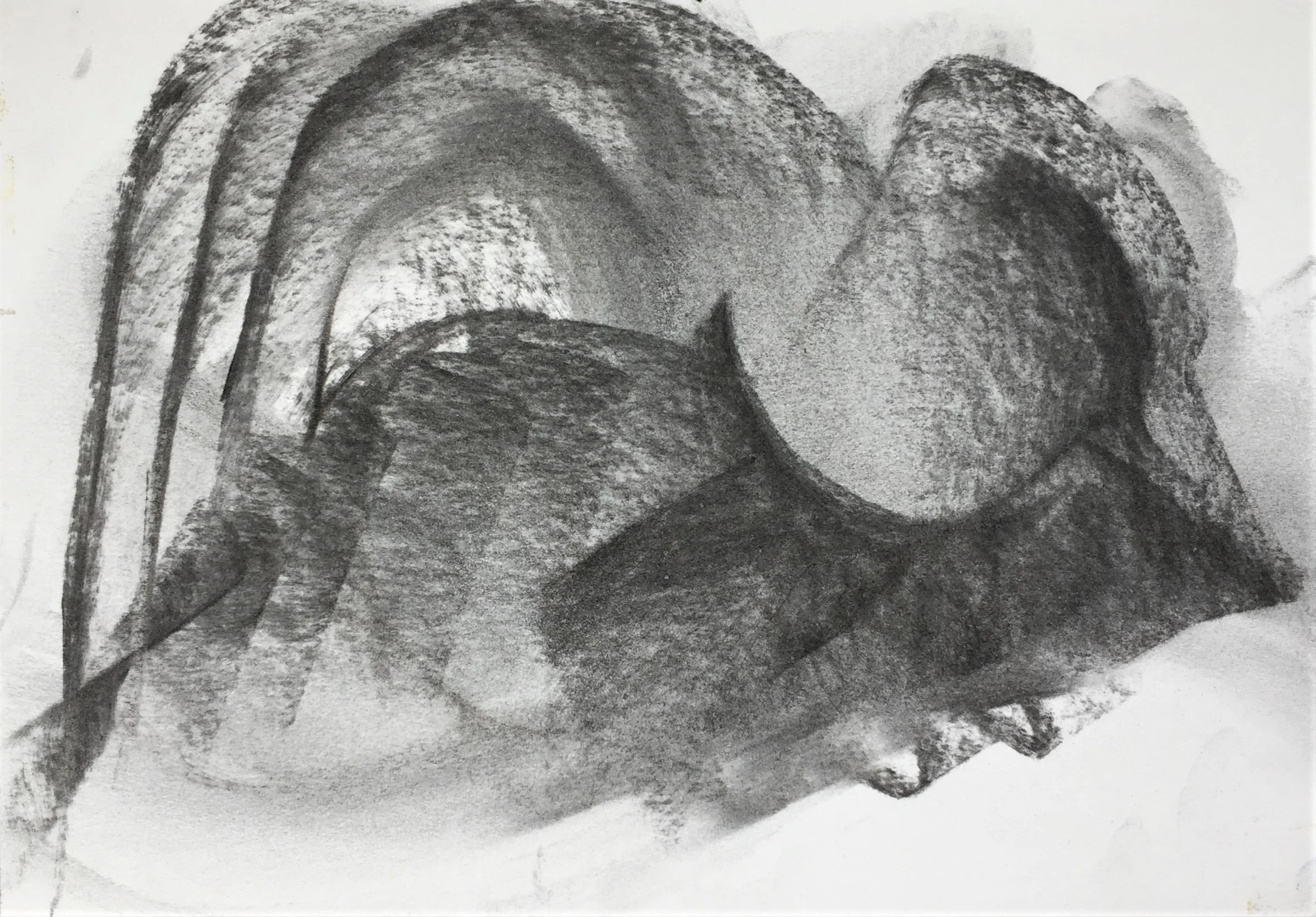 Tabitha Wilson is a contemporary oil painter who works between ...