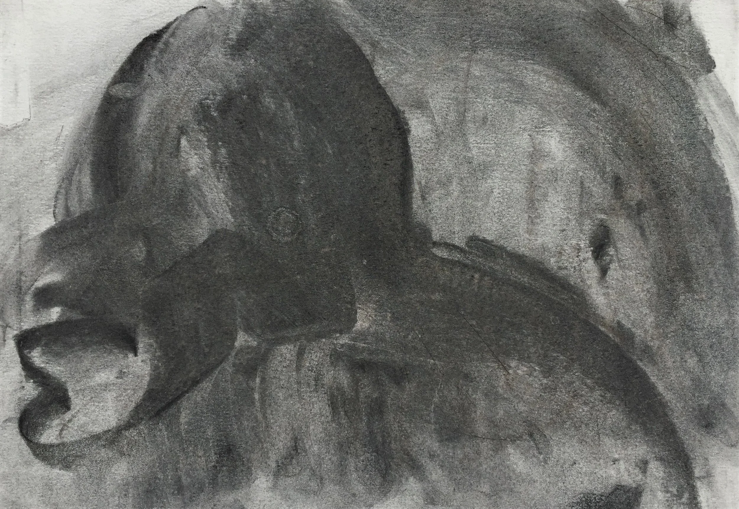 Tabitha Wilson is a contemporary oil painter who works between ...