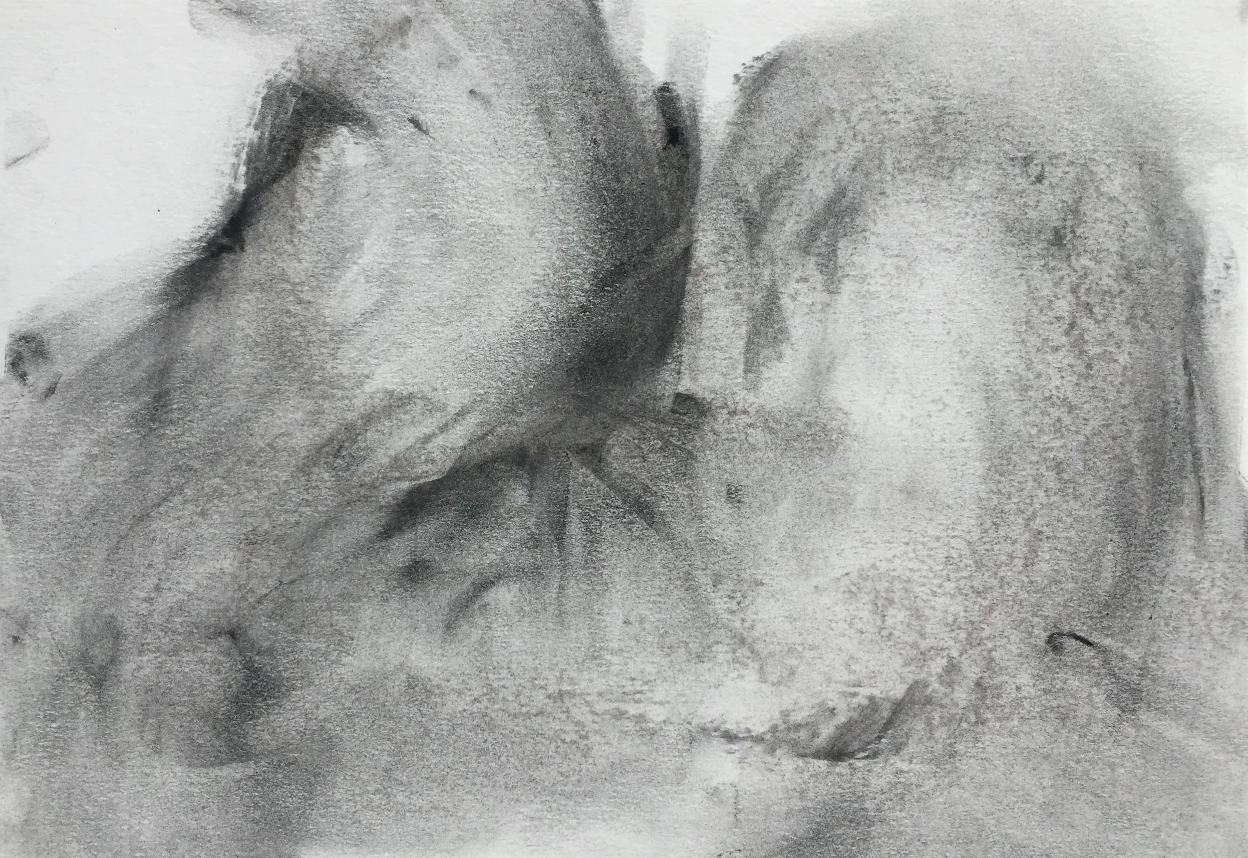 Tabitha Wilson is a contemporary oil painter who works between ...