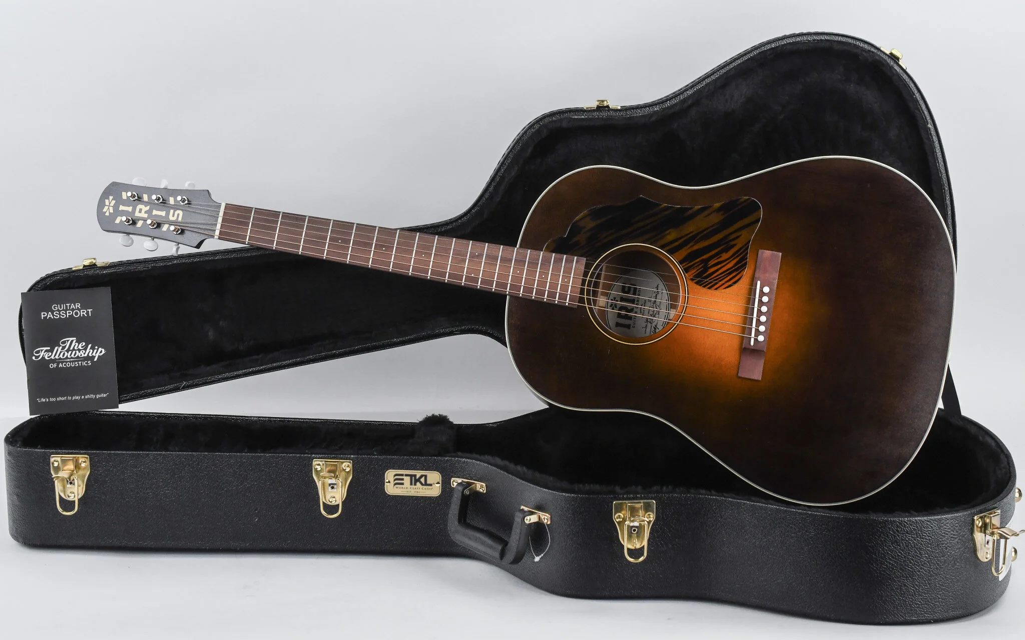 DF MODEL — IRIS GUITAR COMPANY