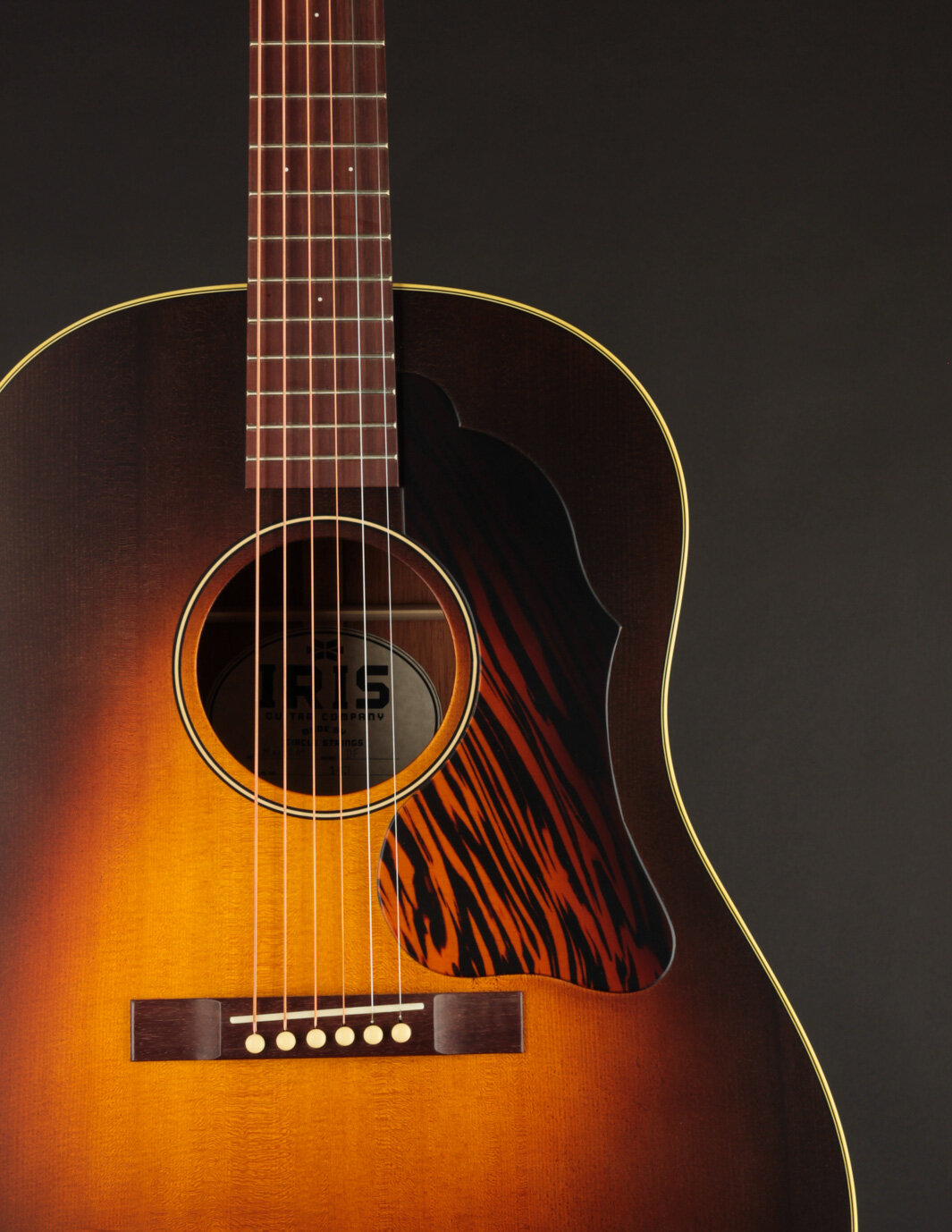 DF MODEL — IRIS GUITAR COMPANY