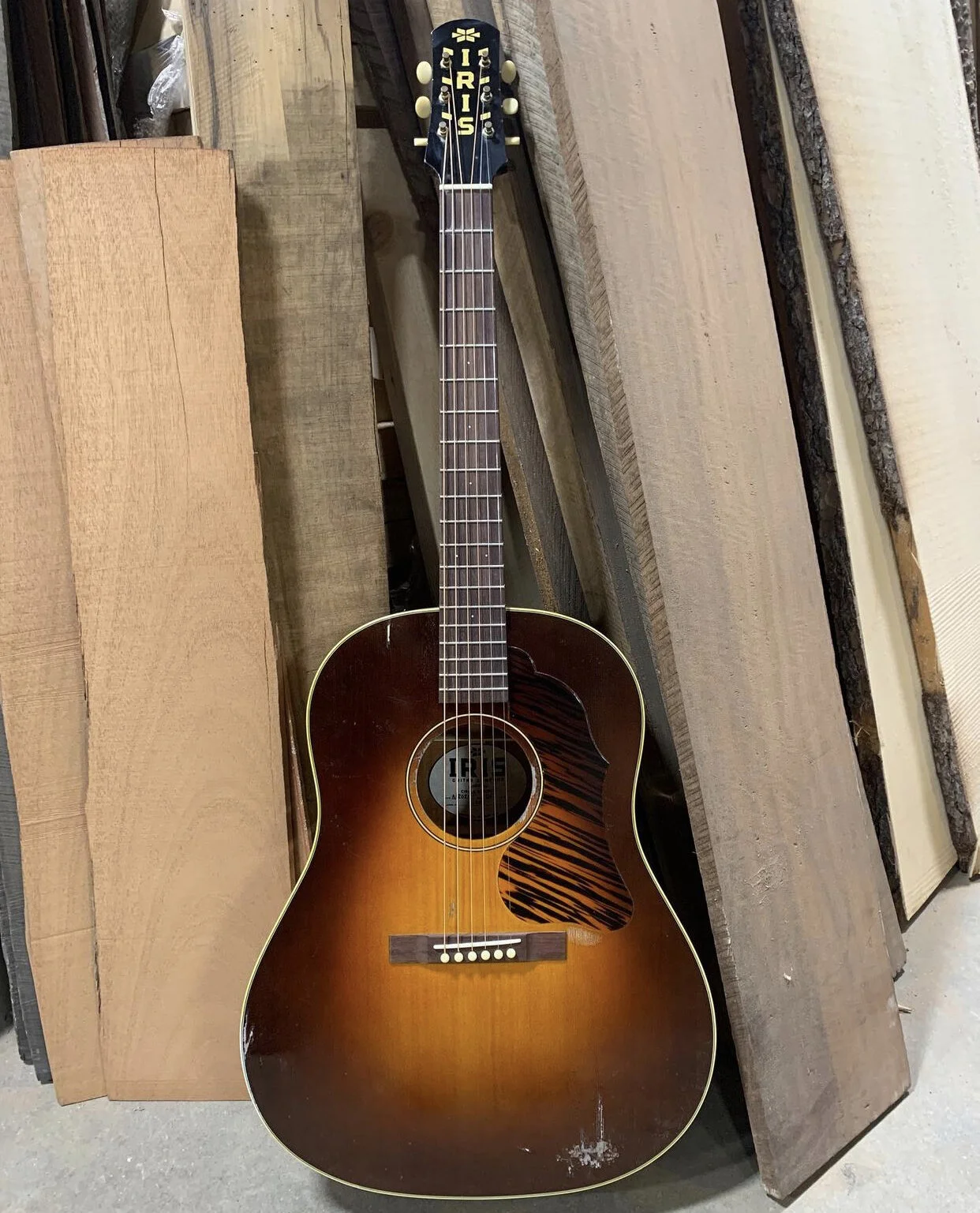 DF MODEL — IRIS GUITAR COMPANY