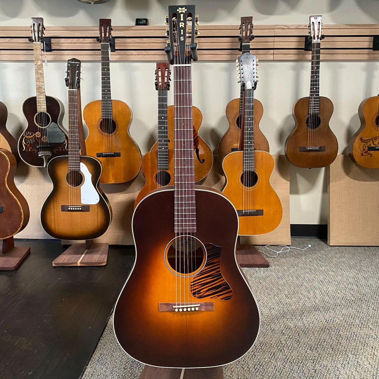 DF MODEL — IRIS GUITAR COMPANY