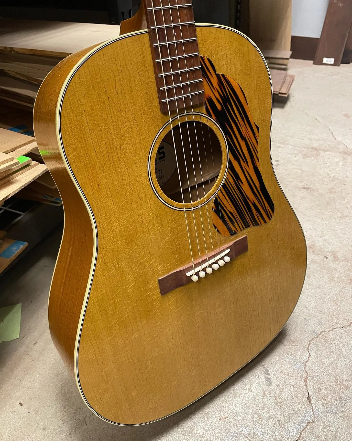 DF MODEL — IRIS GUITAR COMPANY