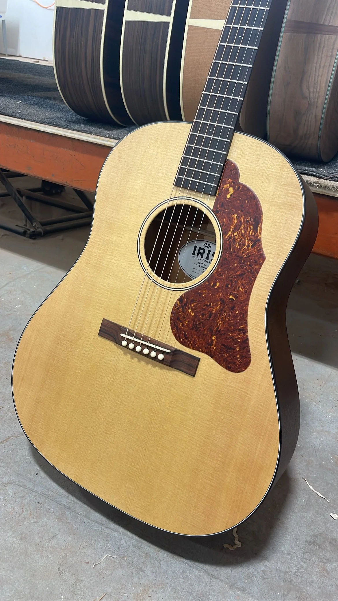 DF MODEL — IRIS GUITAR COMPANY