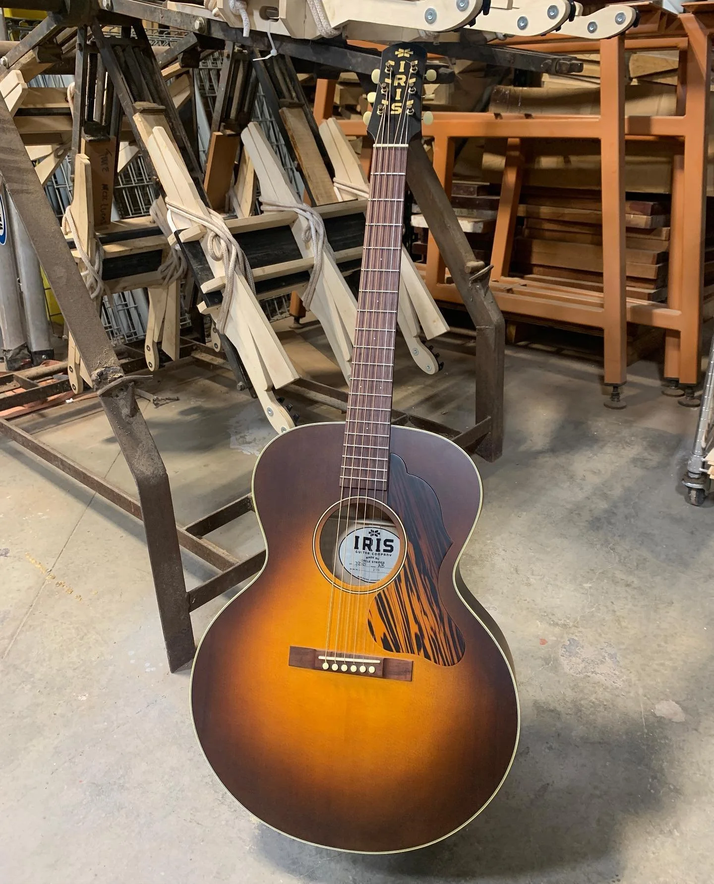 AB MODEL — IRIS GUITAR COMPANY