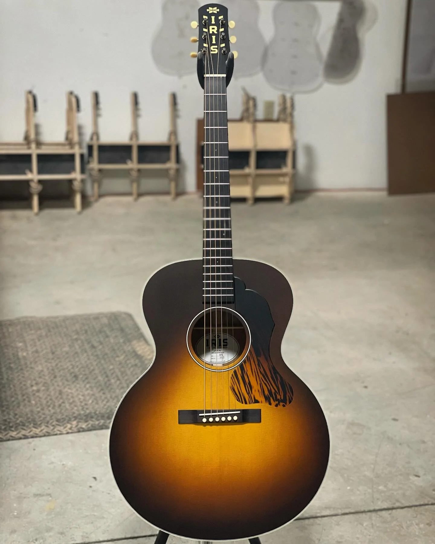 AB MODEL — IRIS GUITAR COMPANY