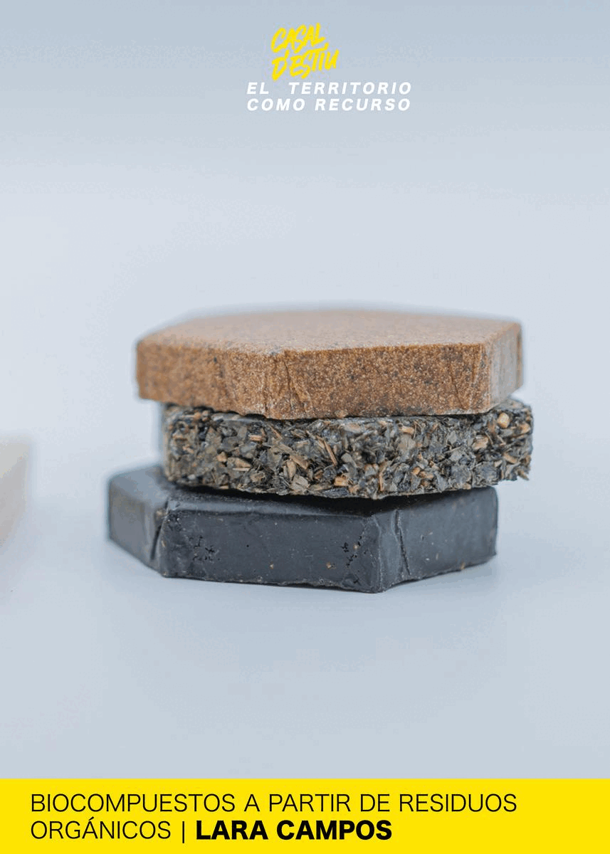 Biocompuestos a partir de residuos orgánicos — TMDC