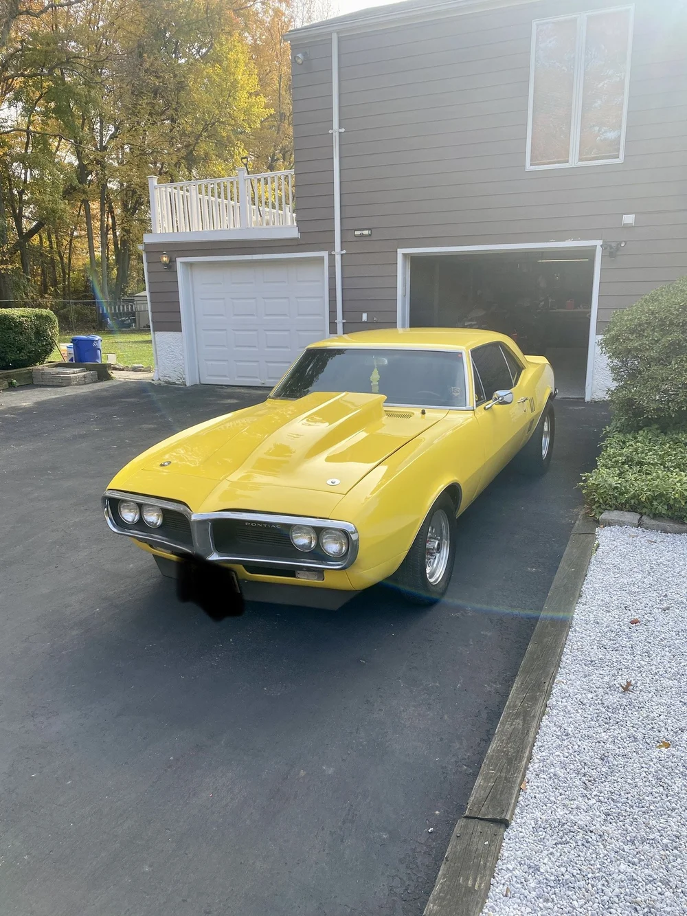 1967 Pontiac Firebird Black
