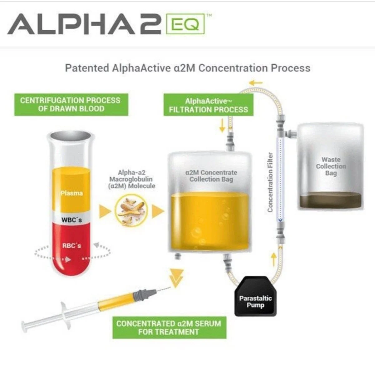 Joint Health and Regenerative Medicine — Forward Equine, LLC