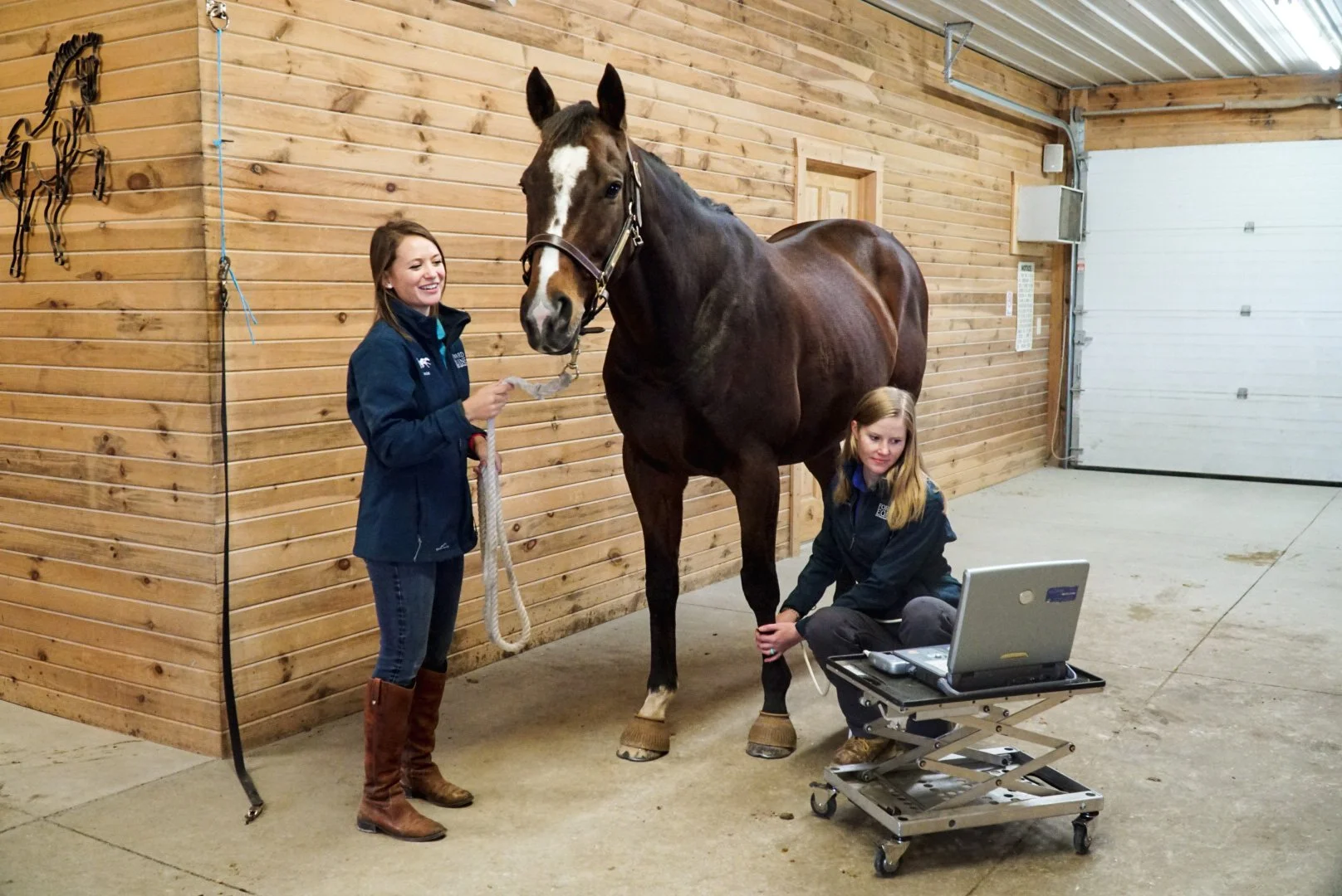 Forward Equine Veterinary Services, LLC