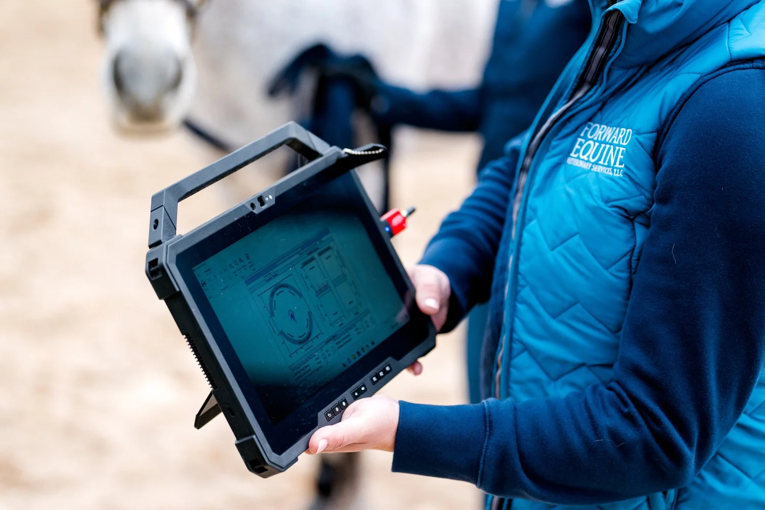 Equinosis Lameness Locator — Forward Equine, LLC
