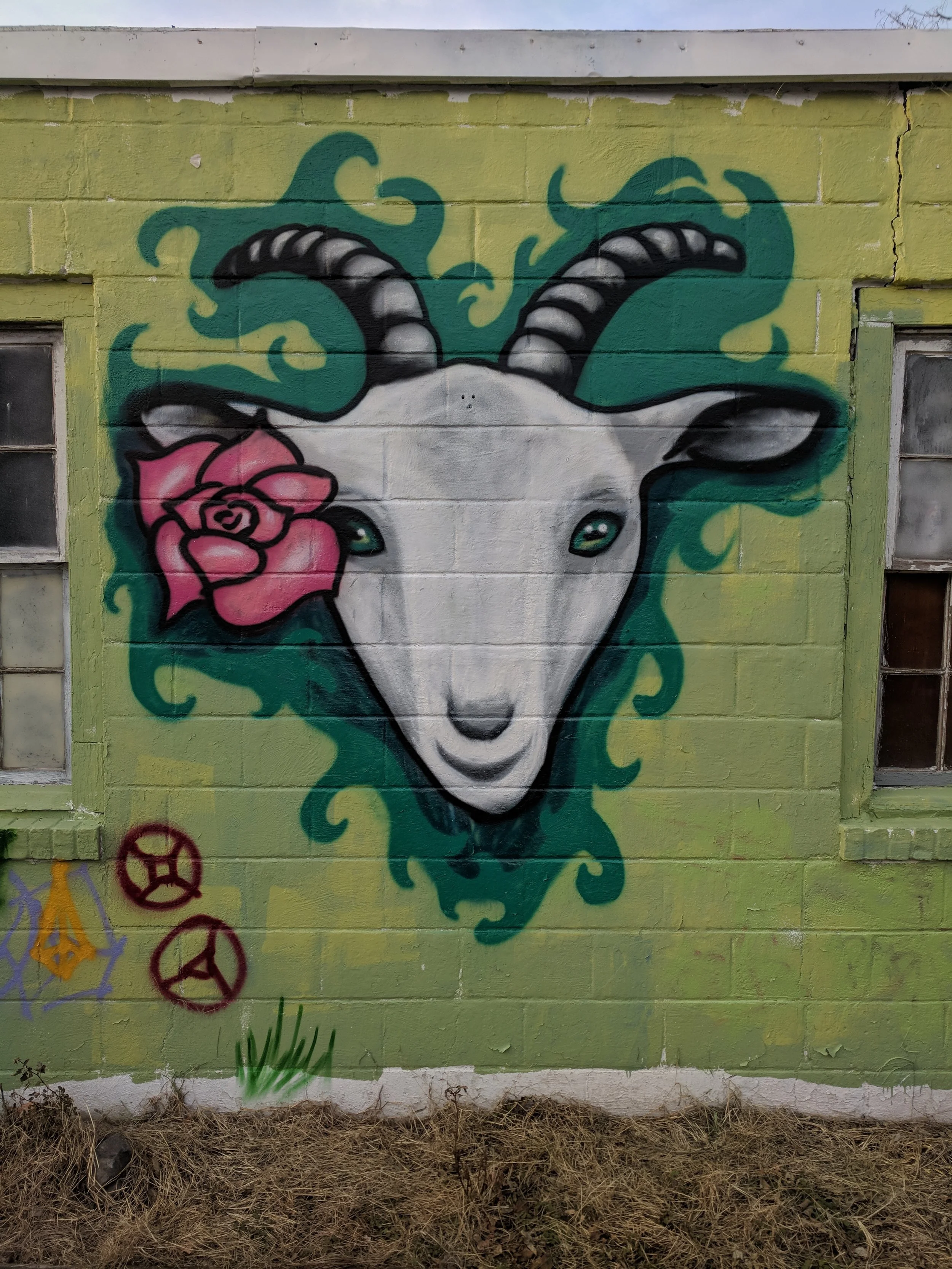 Goat Mural — Lori Johansson