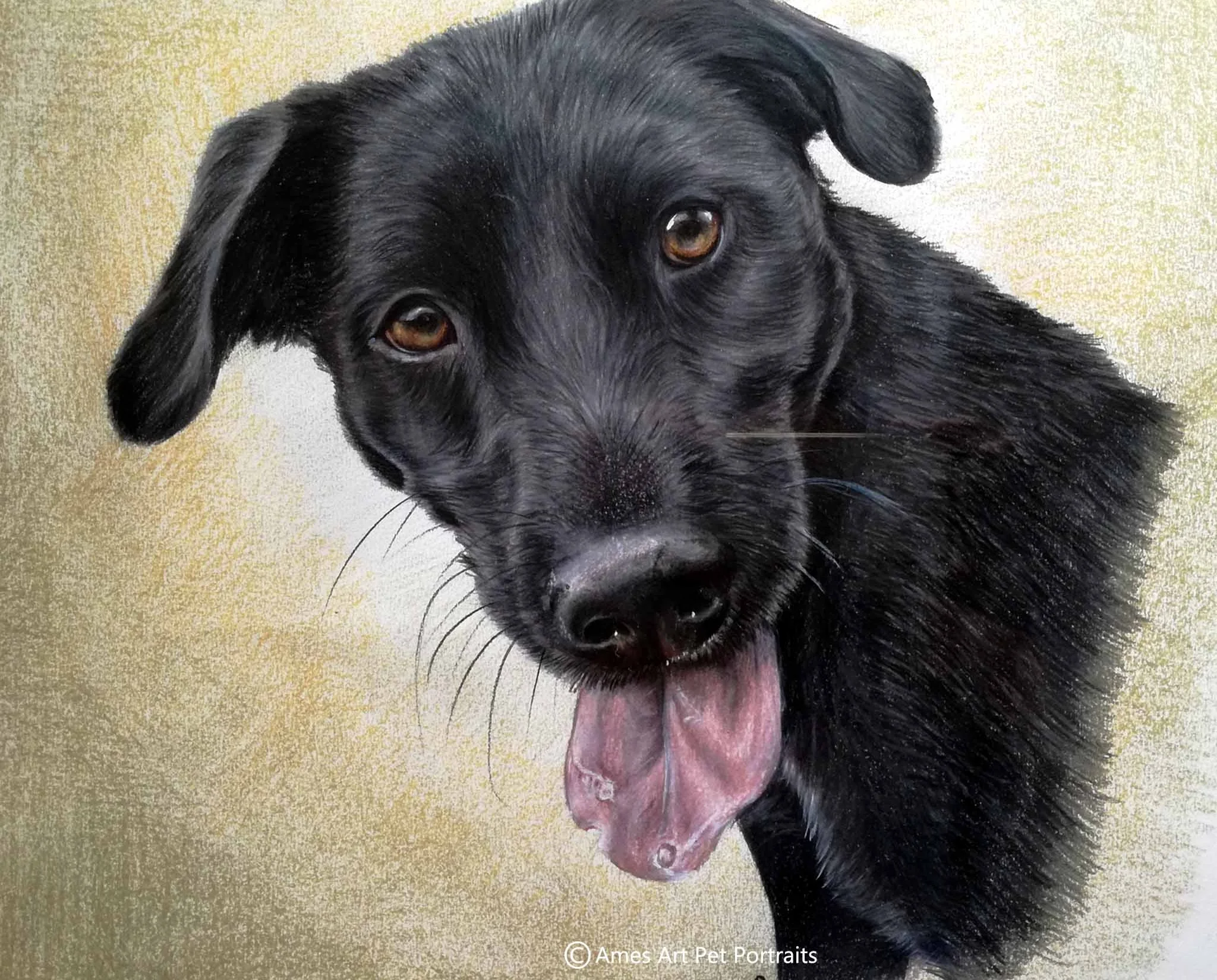 Becoming a Pet Portrait Artist in the UK — Pet Portraits by Sema Martin ...