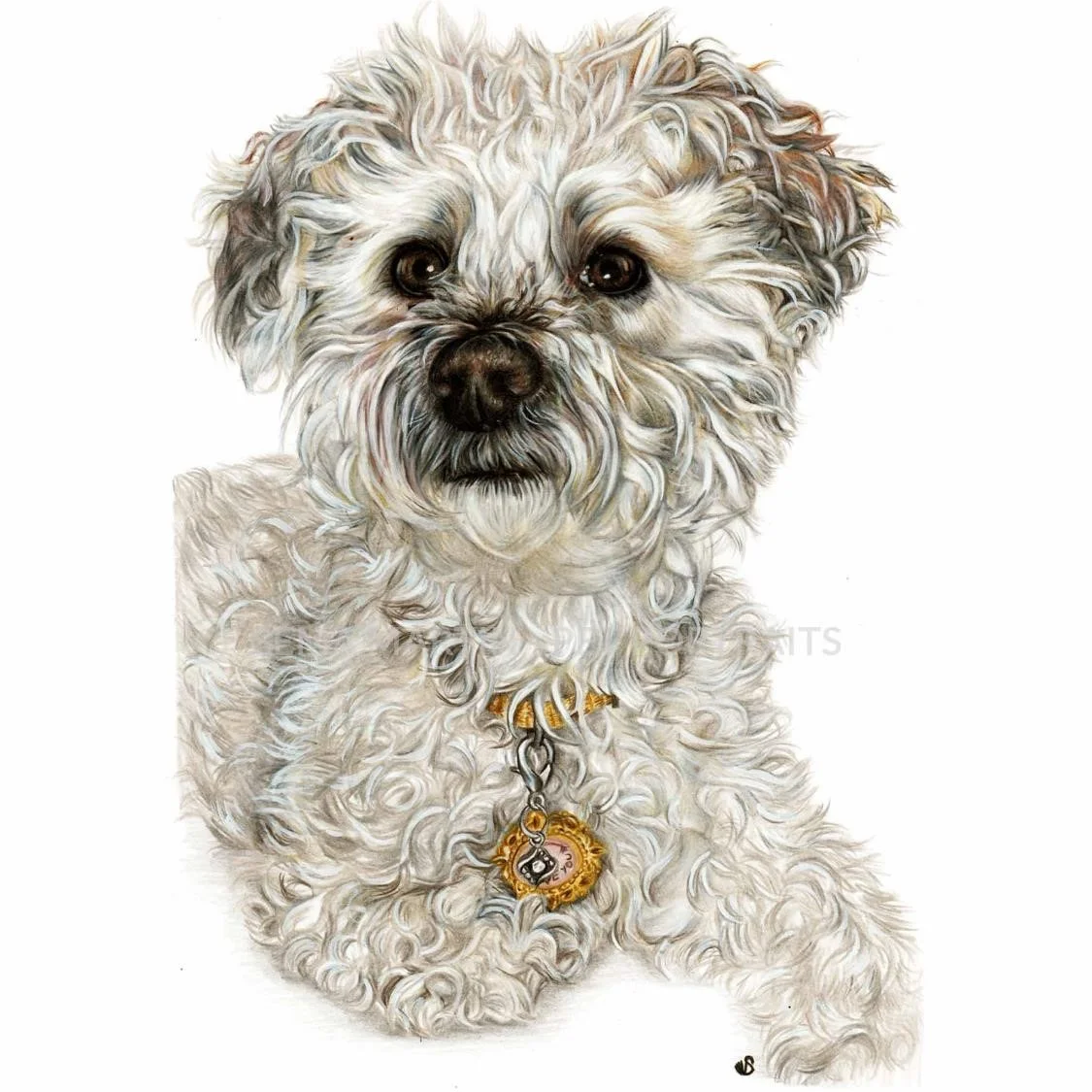 Realistic Colored Pencil Dog Portrait drawing from your photo by Award ...