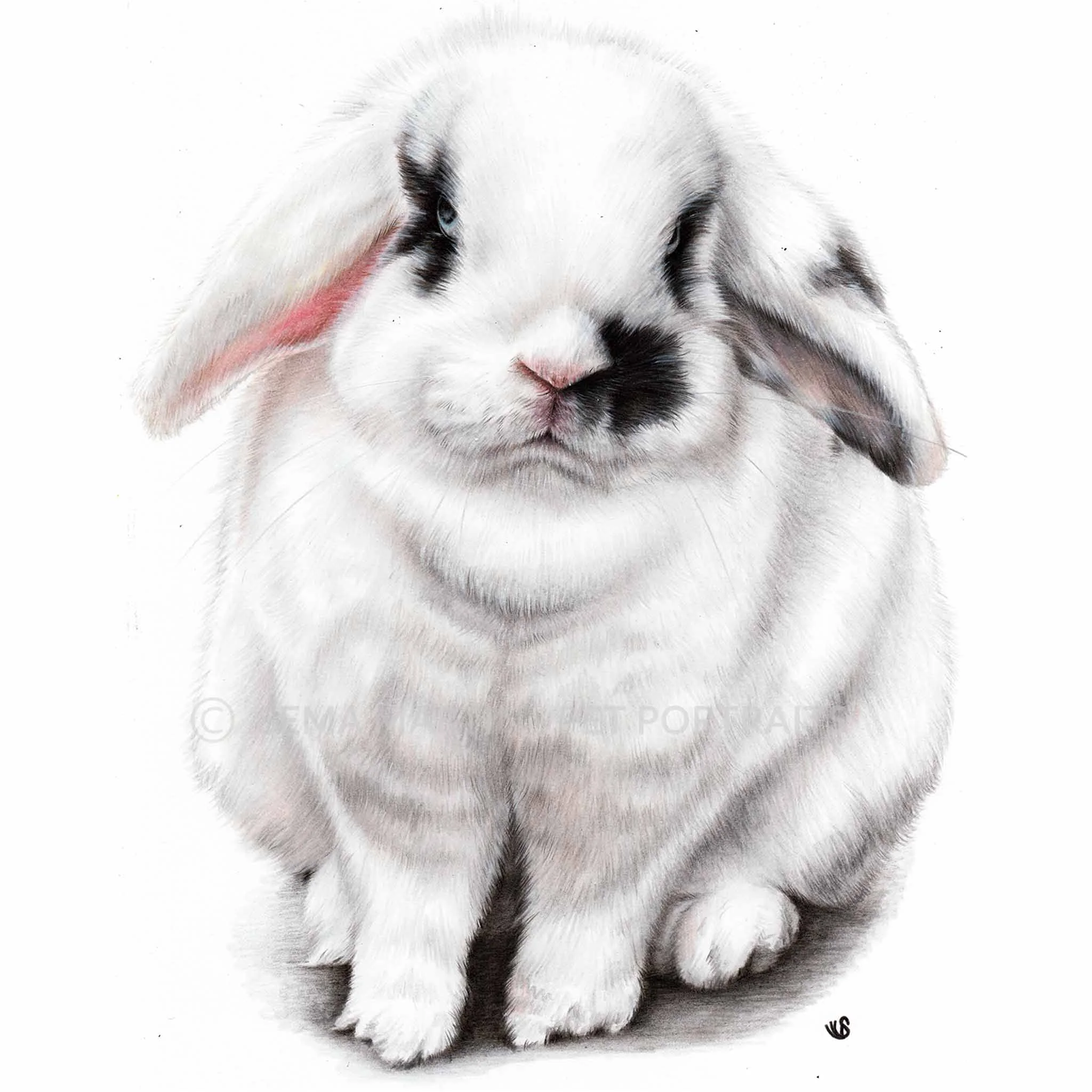 How To Draw A Realistic Bunny