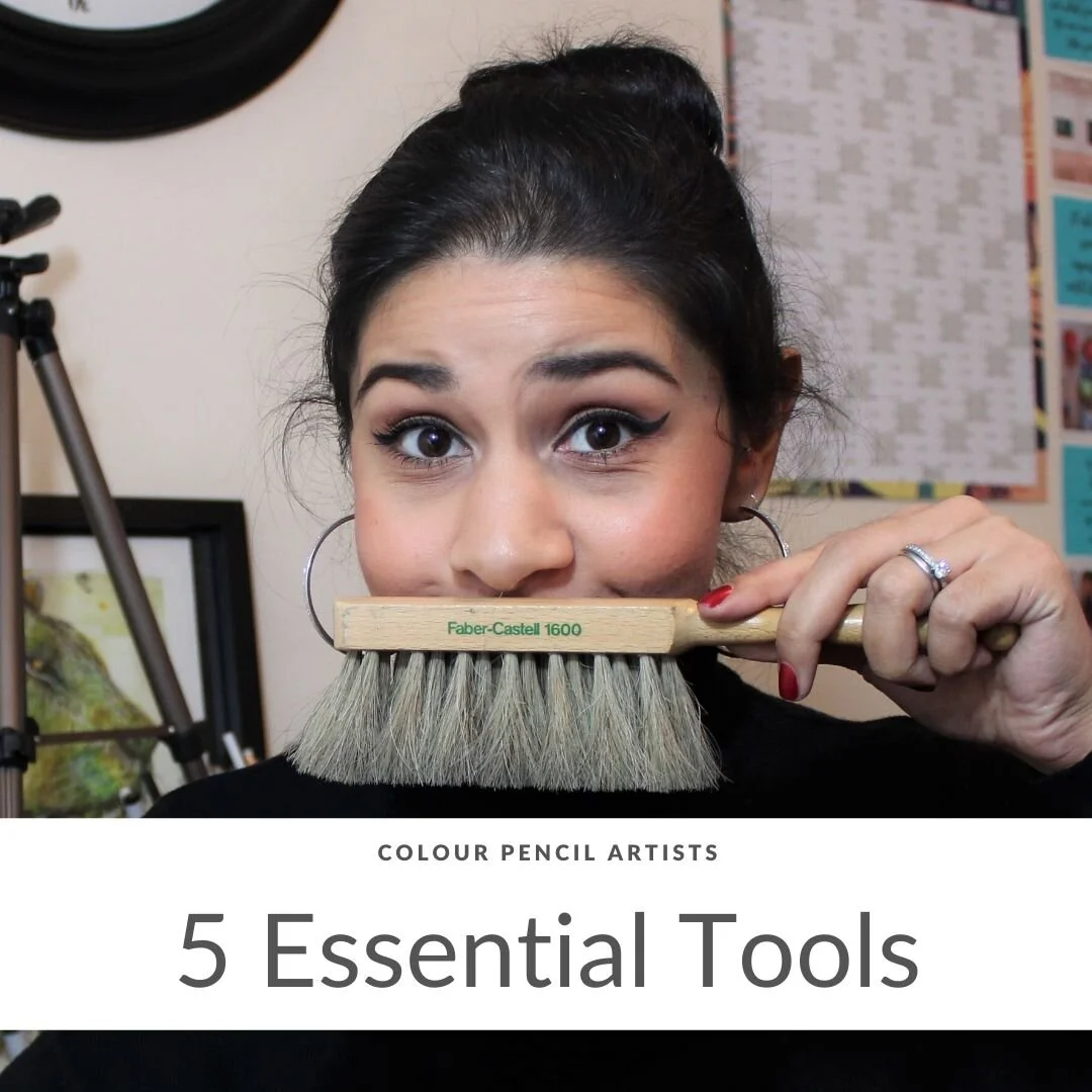 5 Essential Tools for Pencil Portraits — Pet Portraits by Sema Martin ...